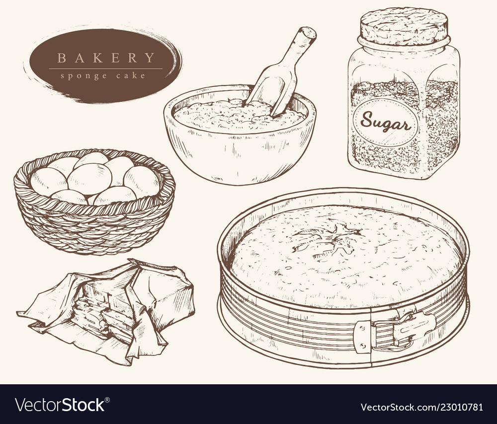 Sponge cake Royalty Free Vector Image - VectorStock