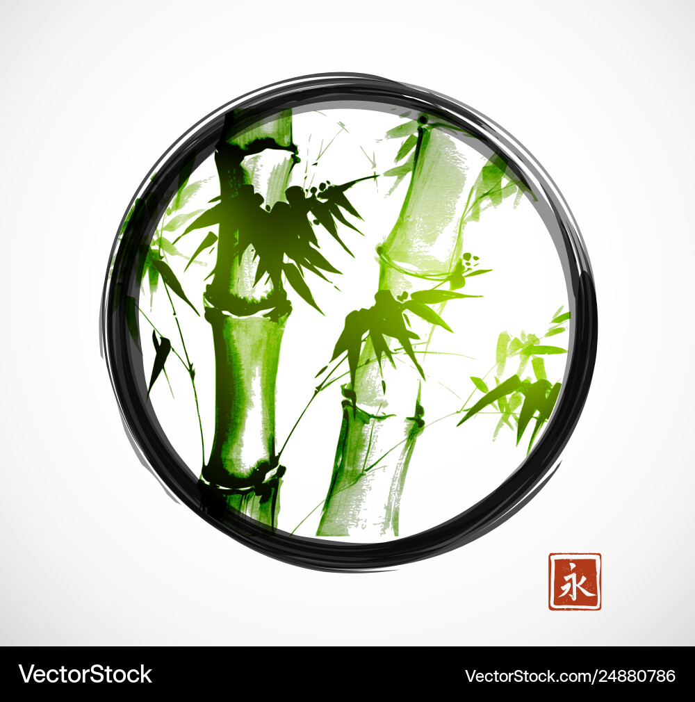 Bamboo in black enso zen circle on white Vector Image