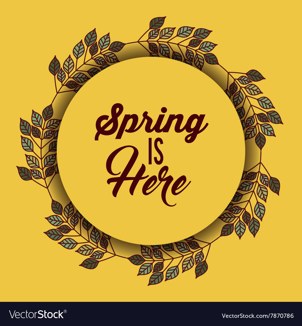 Hello spring design Royalty Free Vector Image - VectorStock