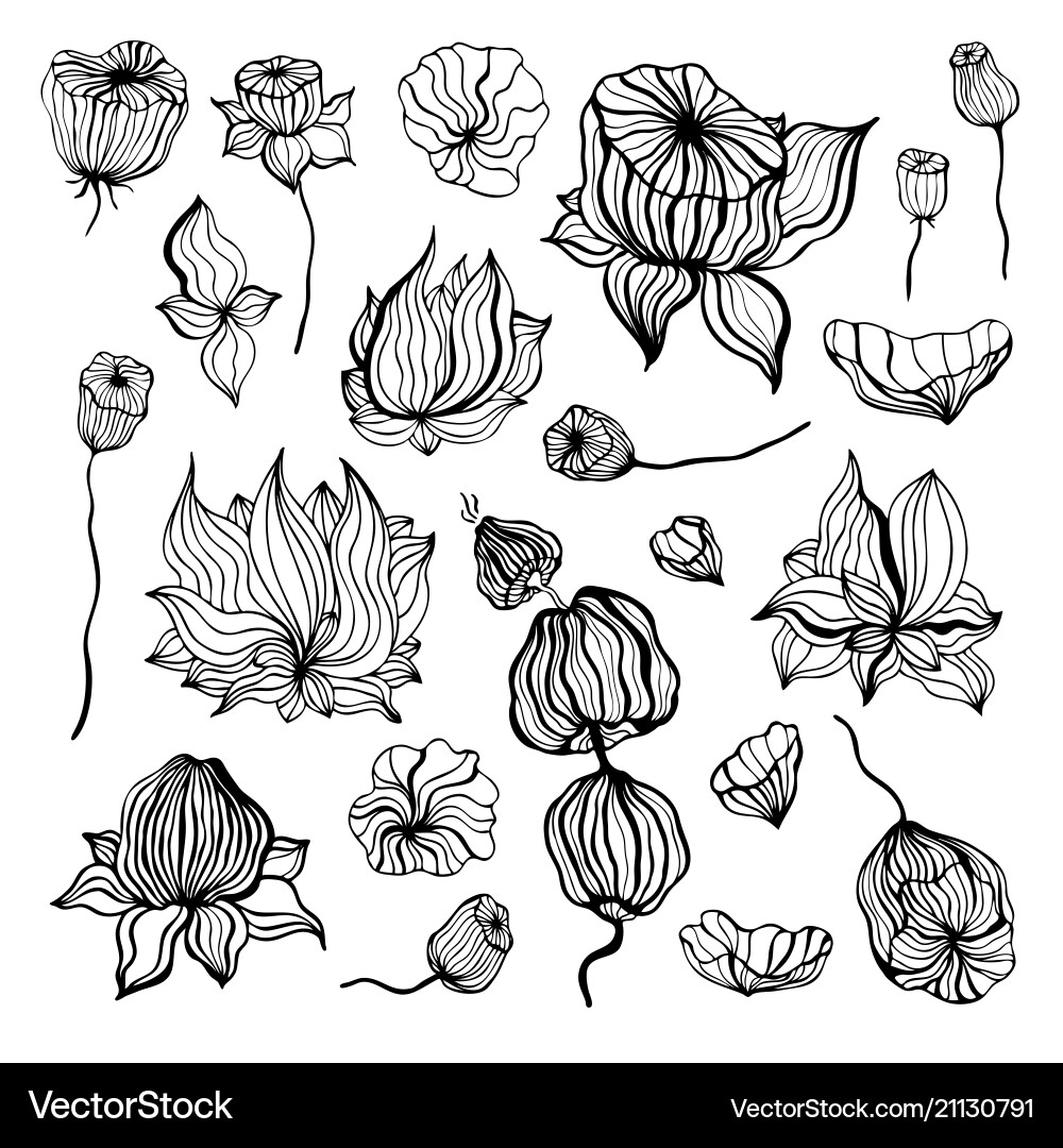 Abstract flower hand drawn Royalty Free Vector Image