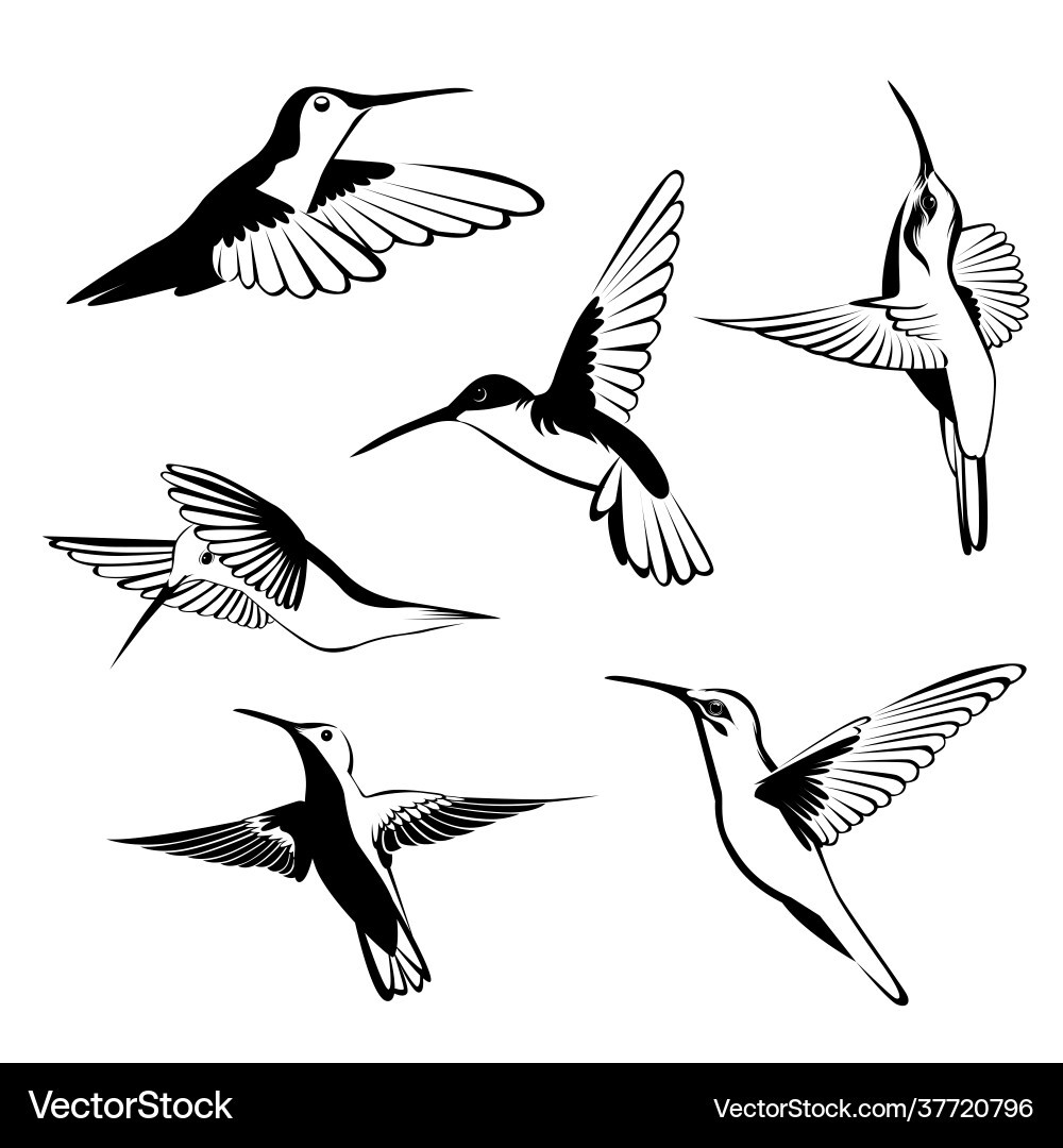 Microstock Royalty Free Vector Image - VectorStock
