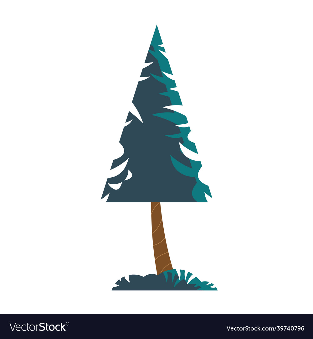 Pine tree plant Royalty Free Vector Image - VectorStock