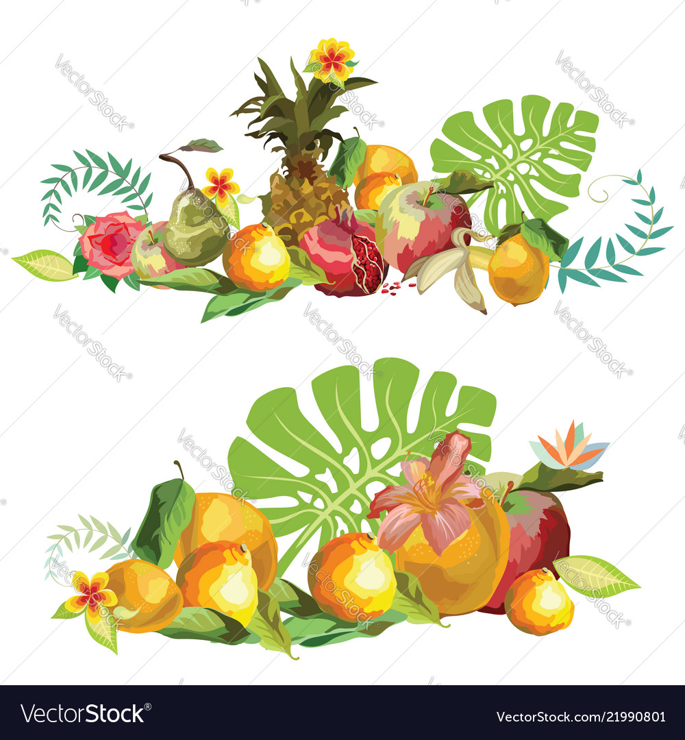 Fruits composition2 Royalty Free Vector Image - VectorStock