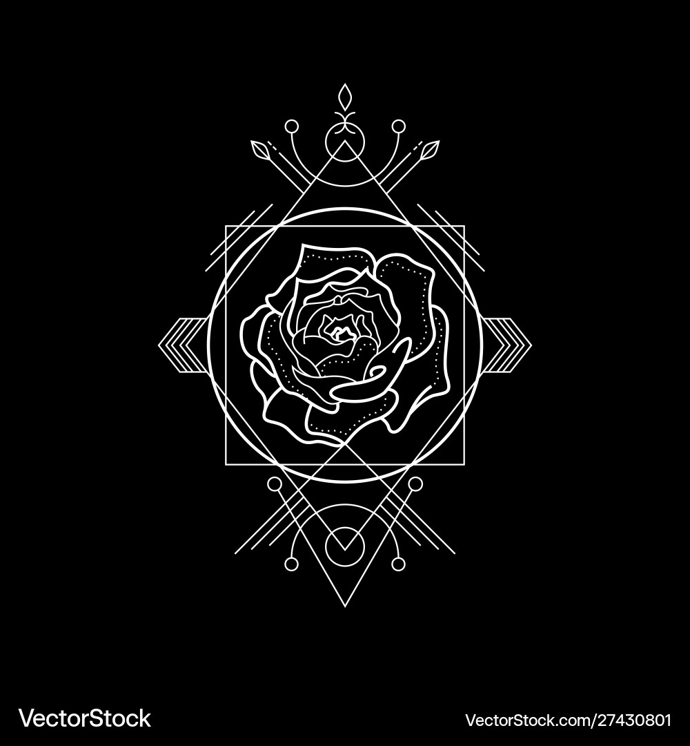 Geometry line rose flower Royalty Free Vector Image