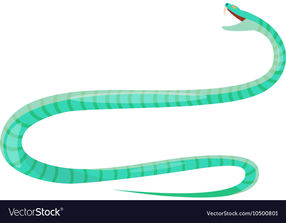 Viper snake Royalty Free Vector Image - VectorStock