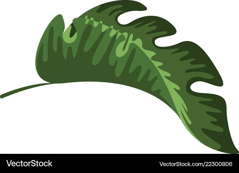 Colorful tropical leaf icon Royalty Free Vector Image