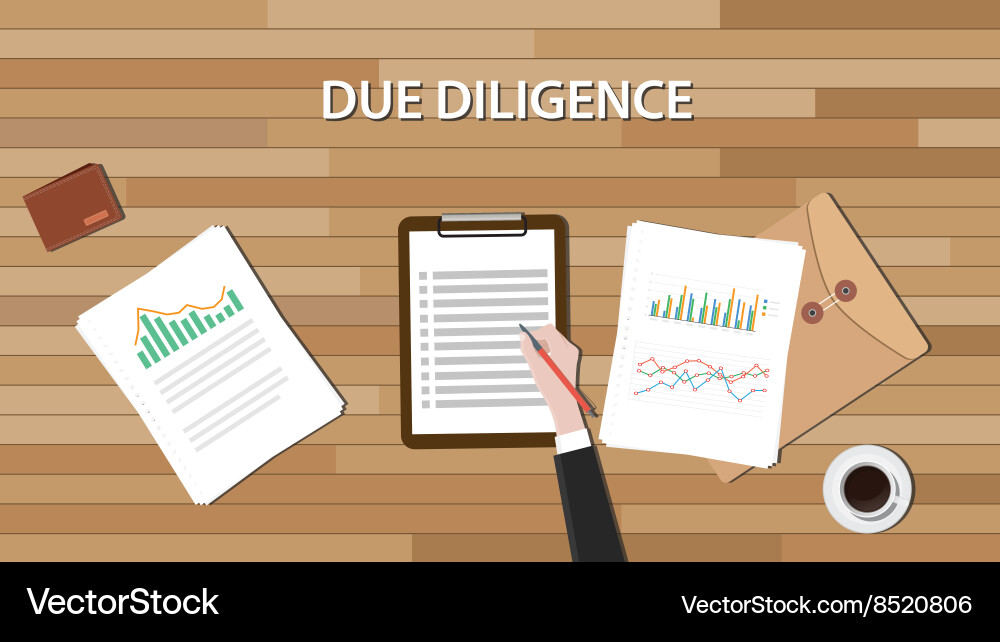 Due diligence business review with paper document Vector Image