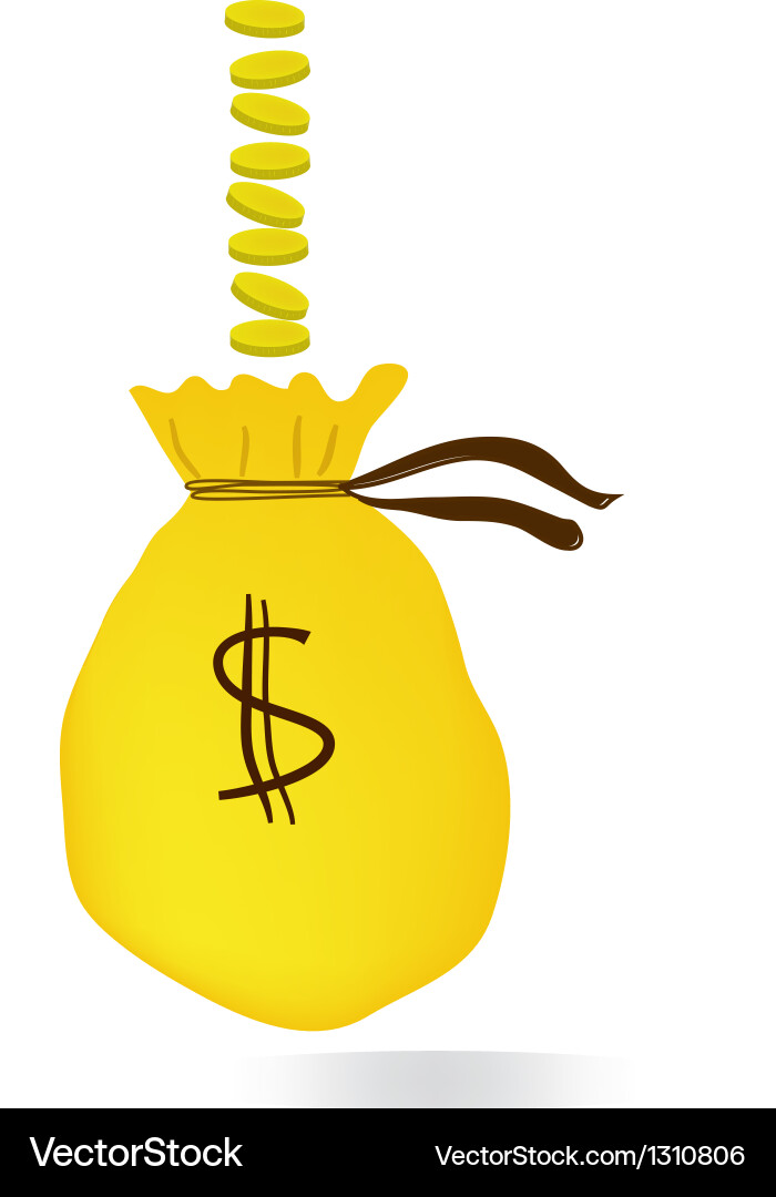 Gold coins with bag isolated on white background Vector Image