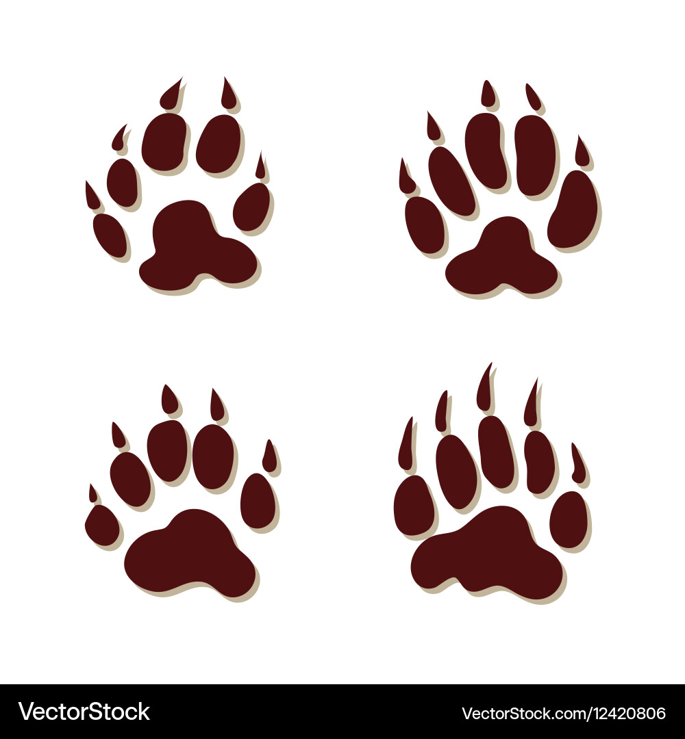 Prints of wild animals traces Royalty Free Vector Image