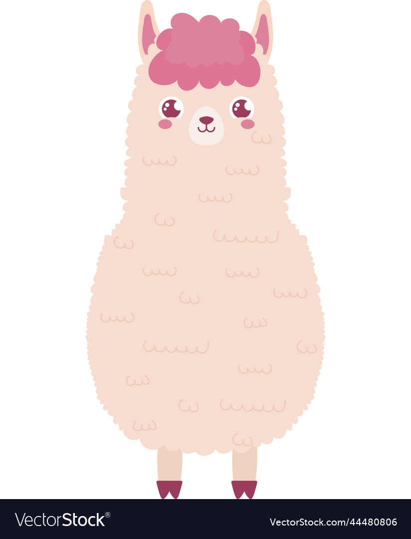 Sweet beautiful llama Royalty Free Vector Image