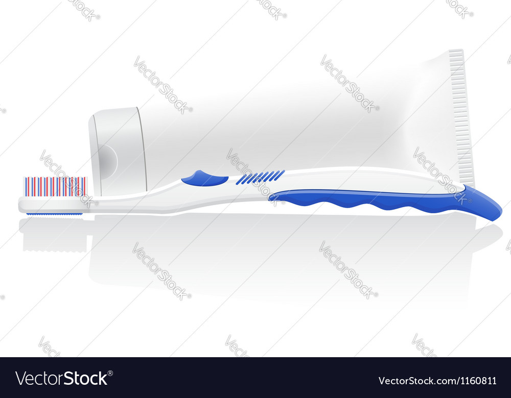 Toothbrush and toothpaste Royalty Free Vector Image