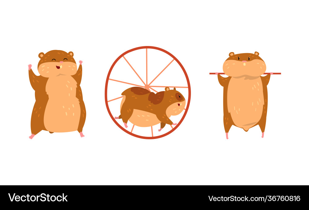 Cute hamster as small pet with cheek pouches Vector Image