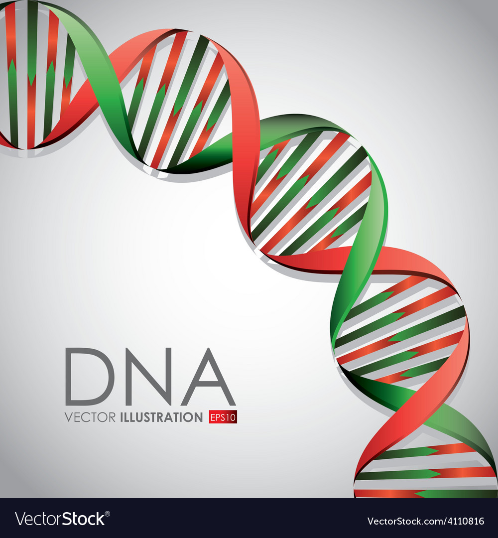Dna design Royalty Free Vector Image - VectorStock