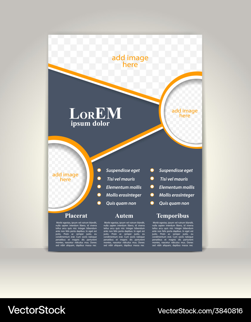 Flyer brochure or magazine cover template Vector Image