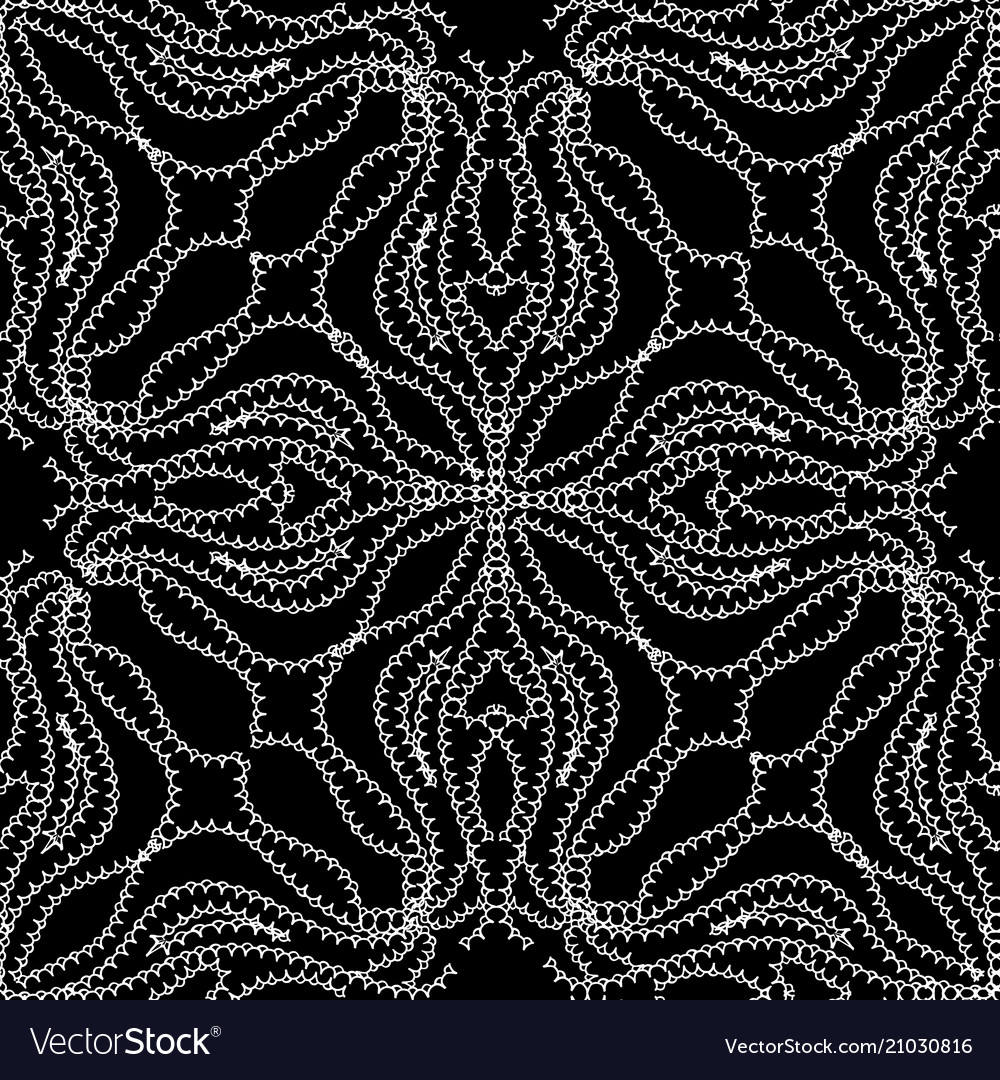 Lace floral seamless pattern black and white Vector Image