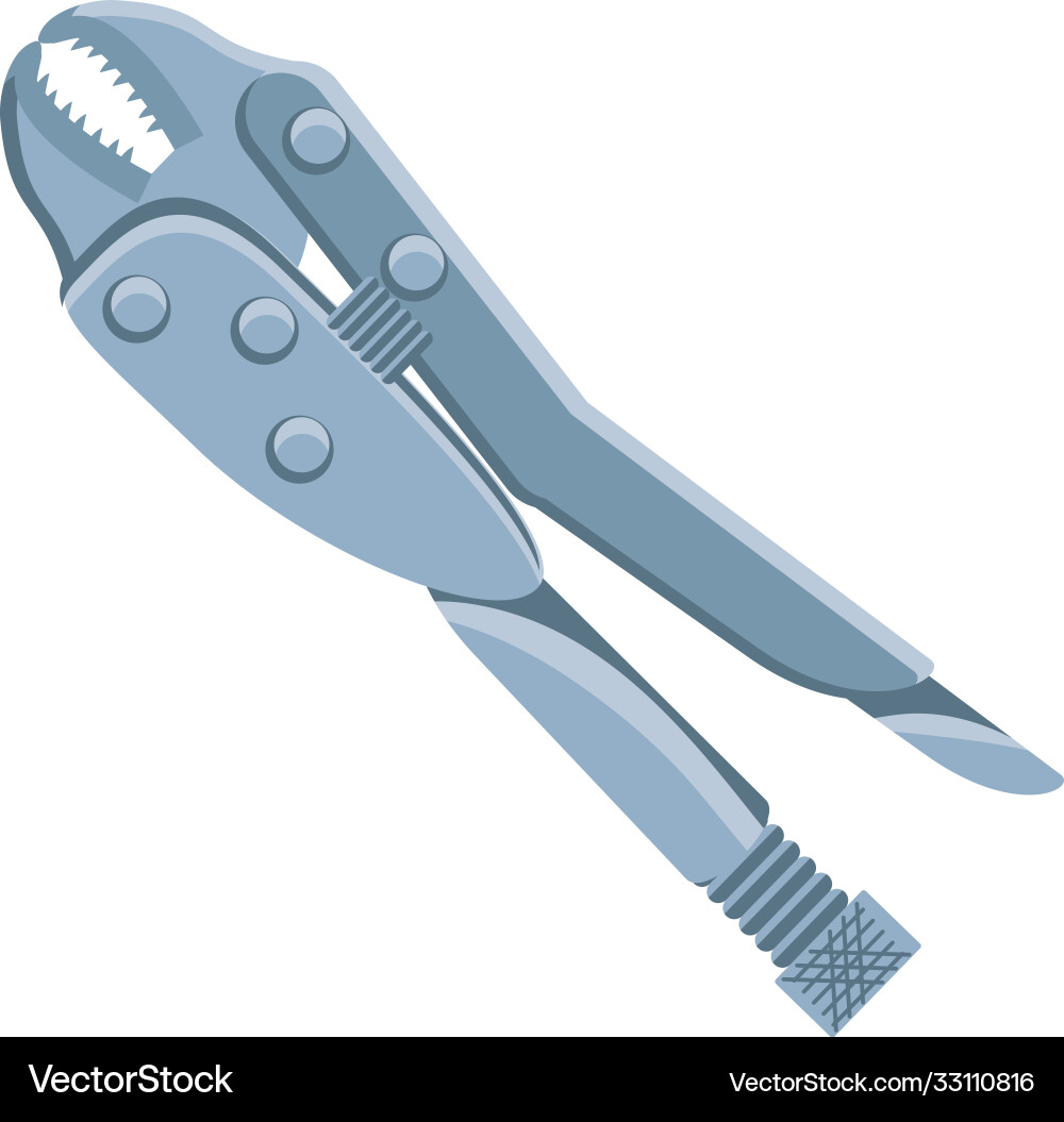Locking pliers on white background Royalty Free Vector Image