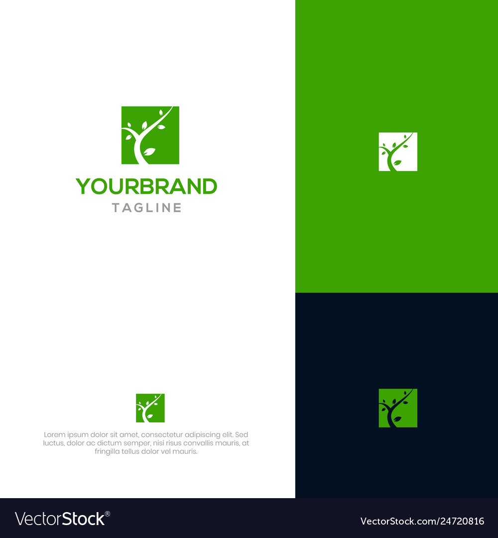 Tree logo template Royalty Free Vector Image - VectorStock