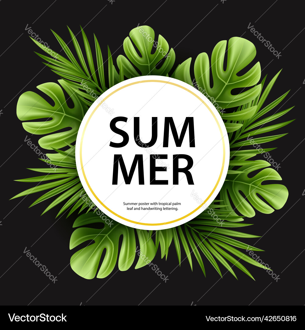 Tropical palm leaf isolated on white background Vector Image