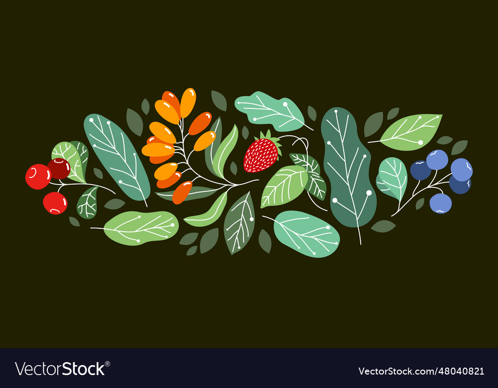 Wild berries fresh and ripe tasty healthy food Vector Image