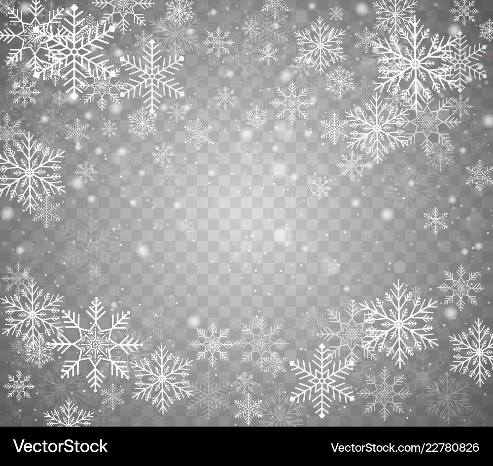 Falling snow in different shapes christmas snow Vector Image