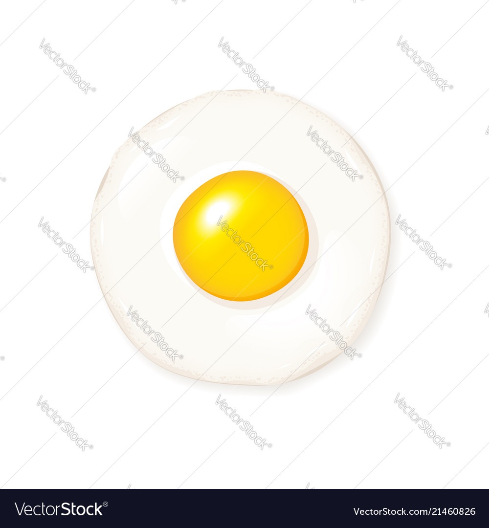 Fried egg Royalty Free Vector Image - VectorStock
