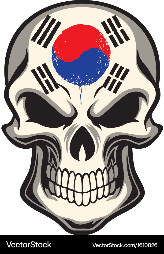 South korea flag painted on a skull Royalty Free Vector