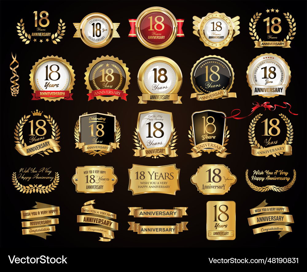 18 years retro vintage badges and labels Vector Image