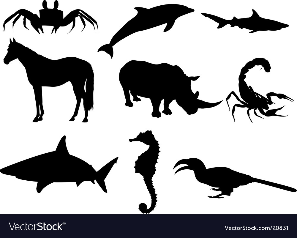 Animals Royalty Free Vector Image - VectorStock