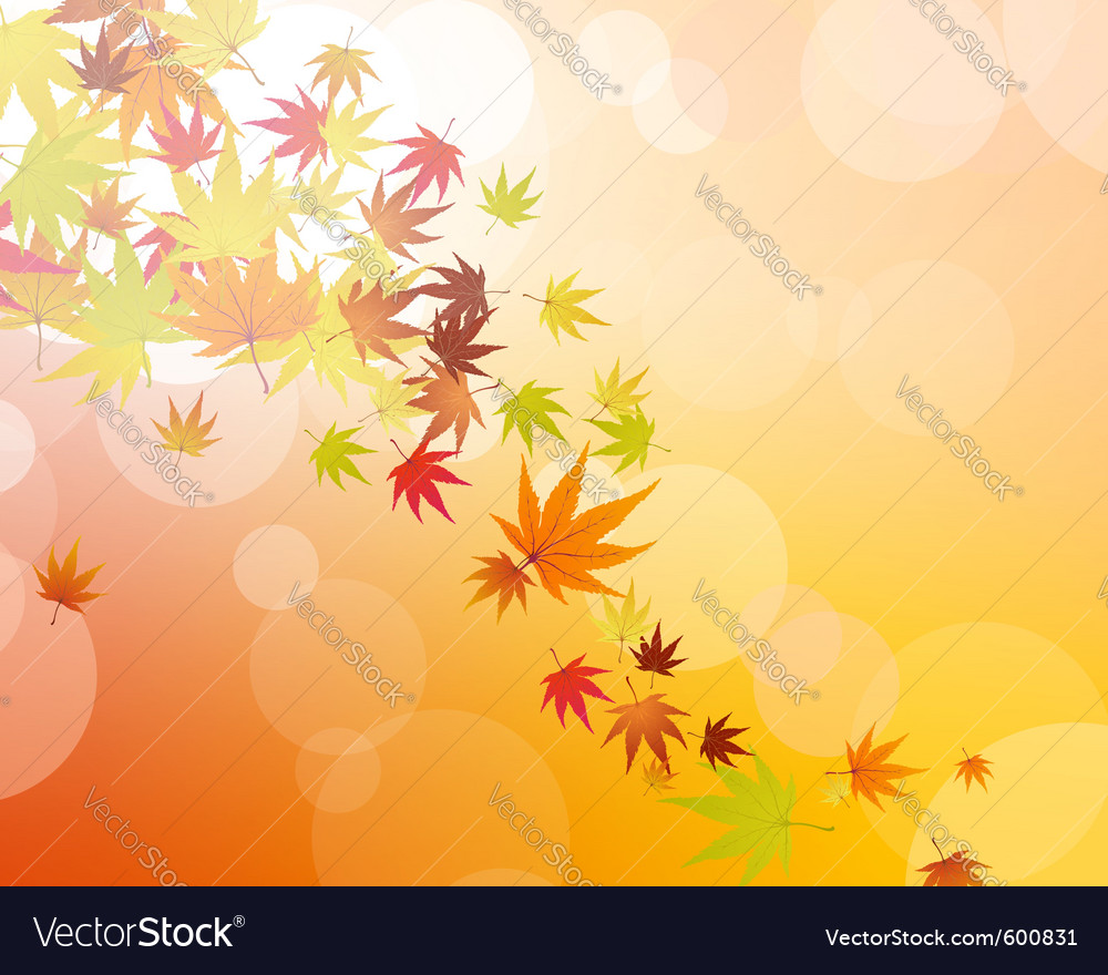 Autumn maple leaves Royalty Free Vector Image - VectorStock
