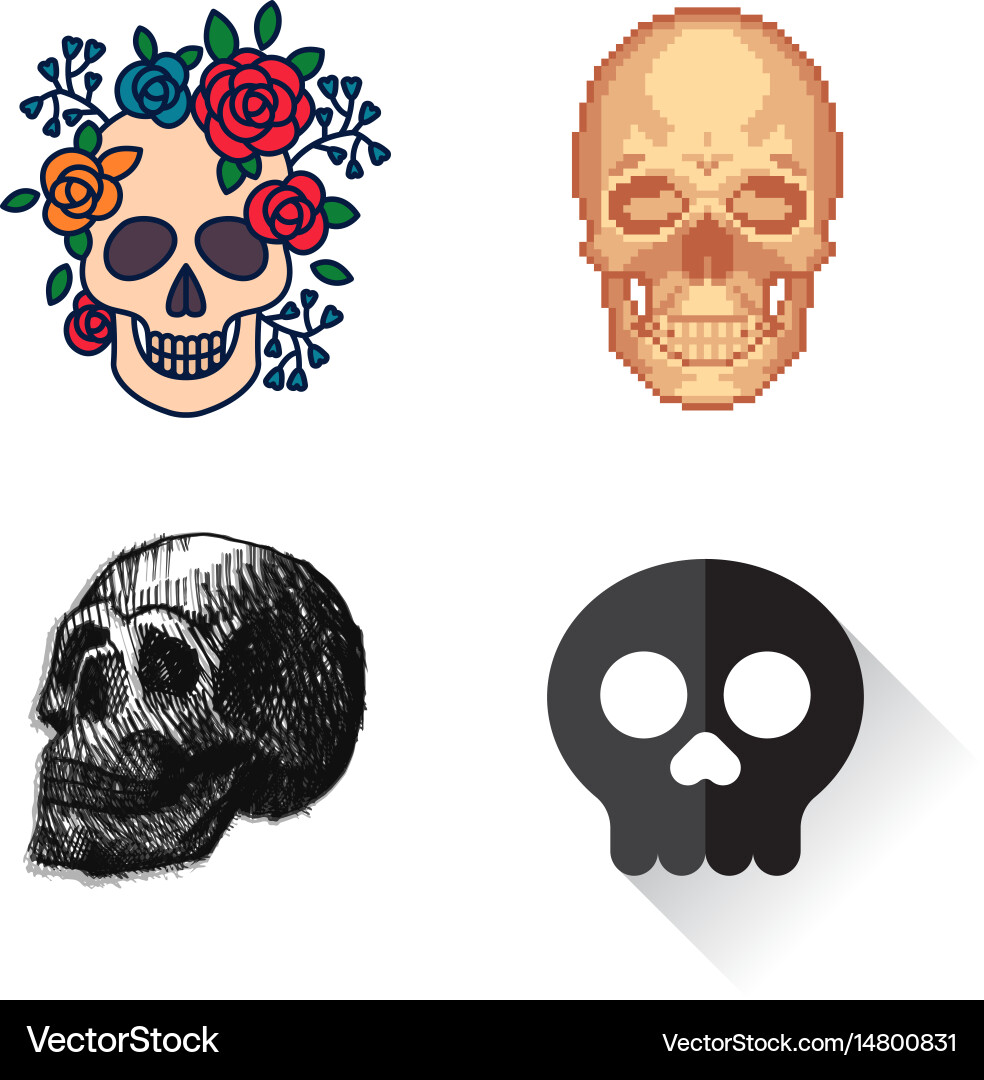 Different style skulls faces Royalty Free Vector Image