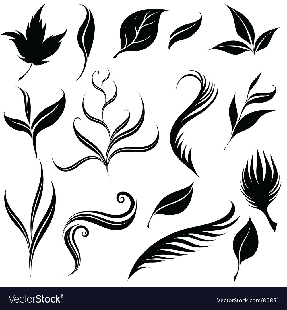 Plants design elements Royalty Free Vector Image
