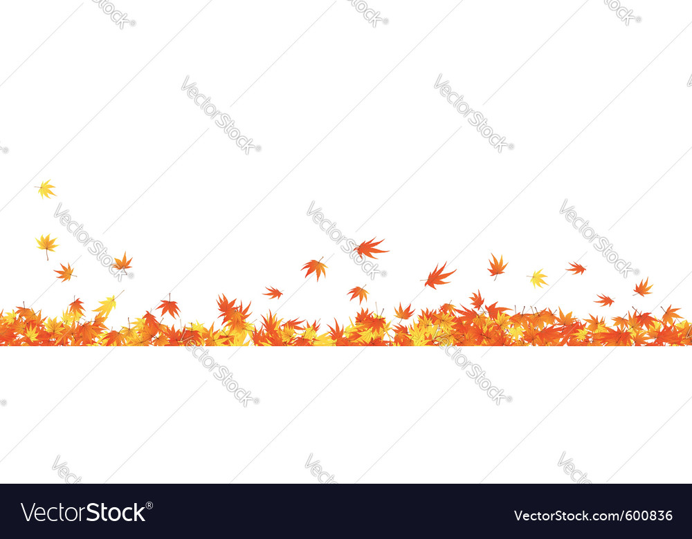 Autumn maple leaves Royalty Free Vector Image - VectorStock
