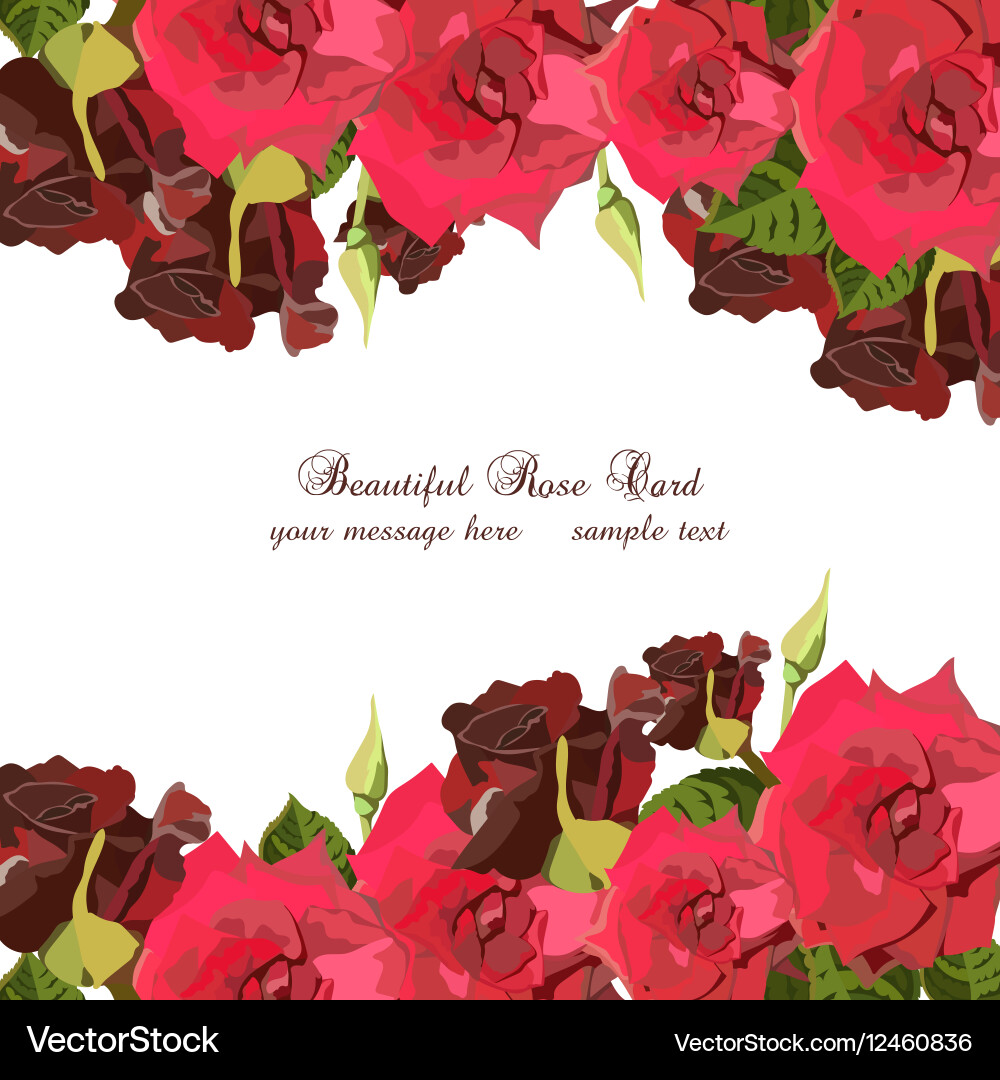 Watercolor red roses card Royalty Free Vector Image