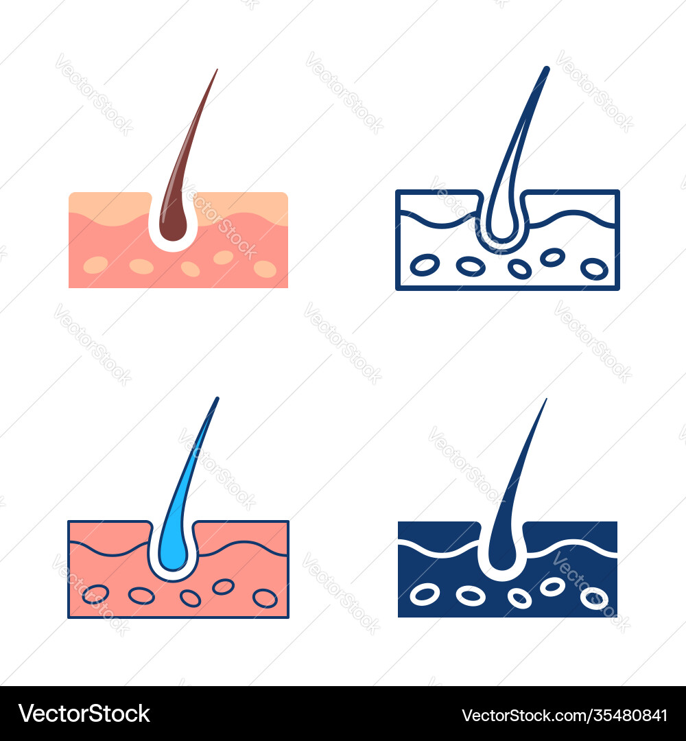 Skin icon set in flat and line style Royalty Free Vector