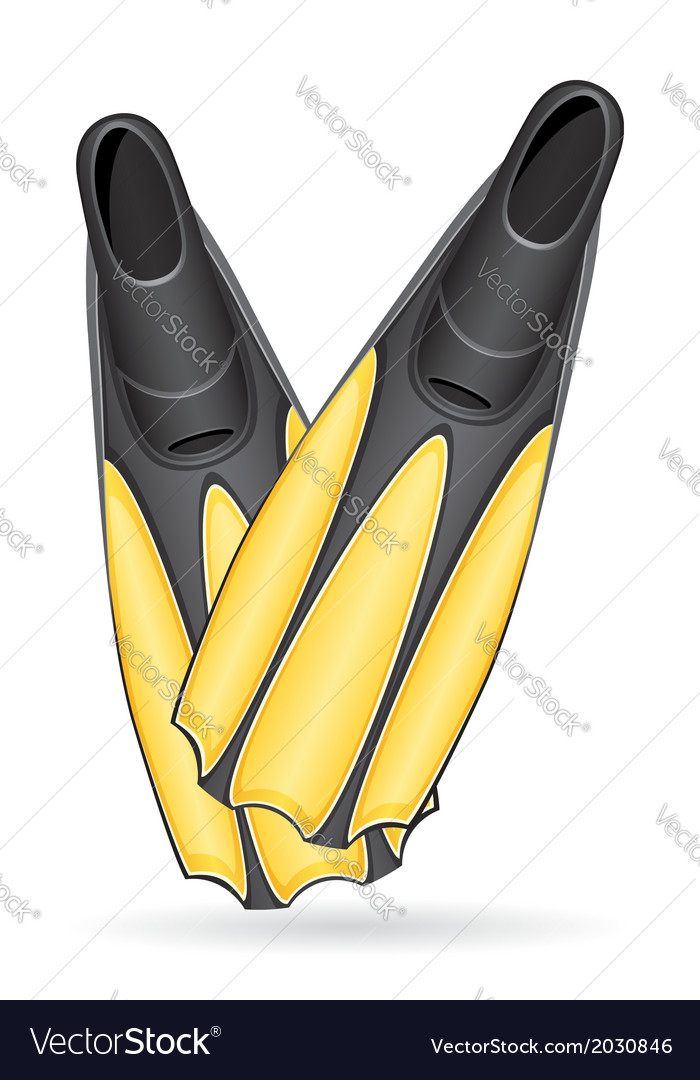Flippers Royalty Free Vector Image - VectorStock