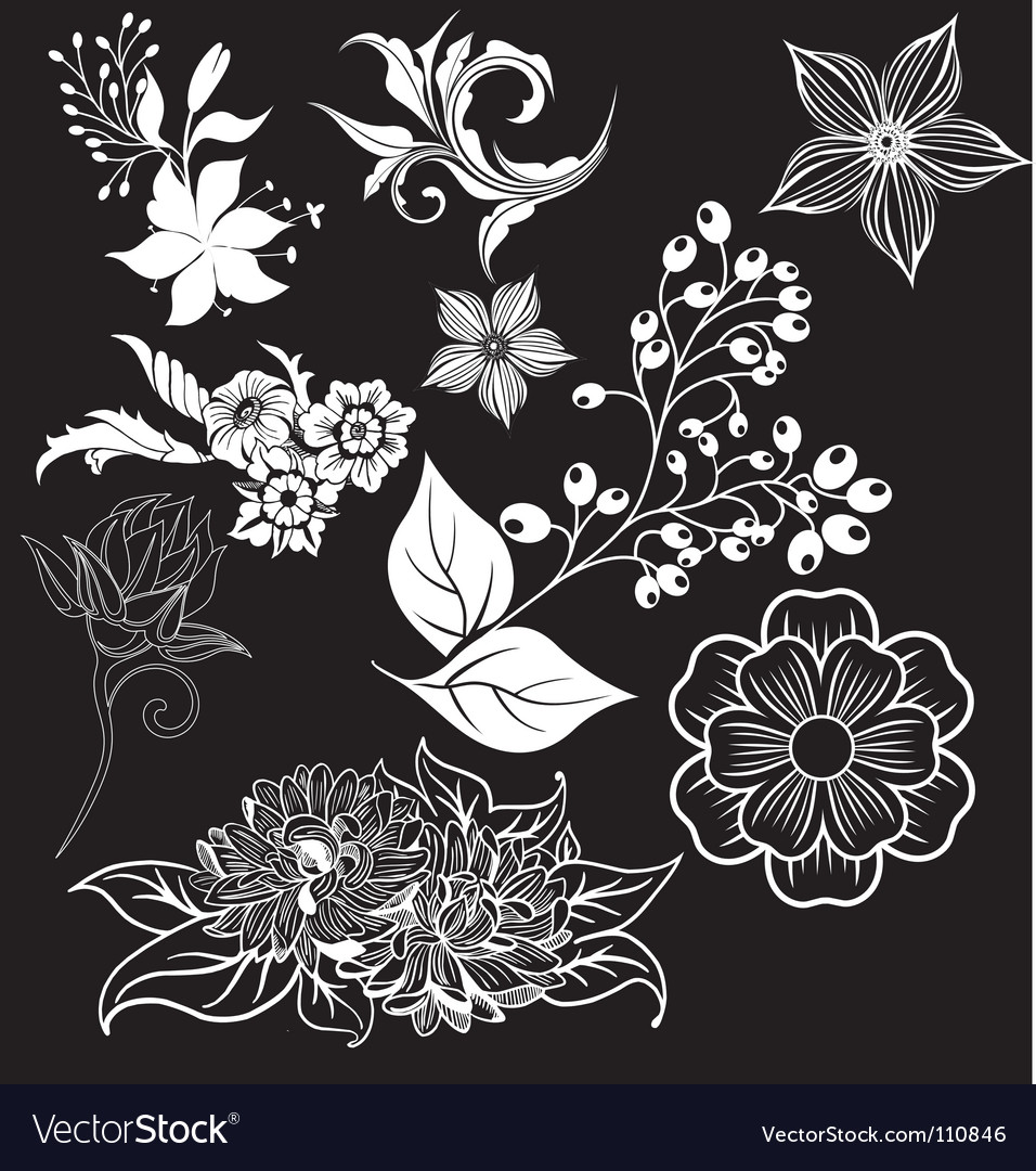 Floral elements Royalty Free Vector Image - VectorStock