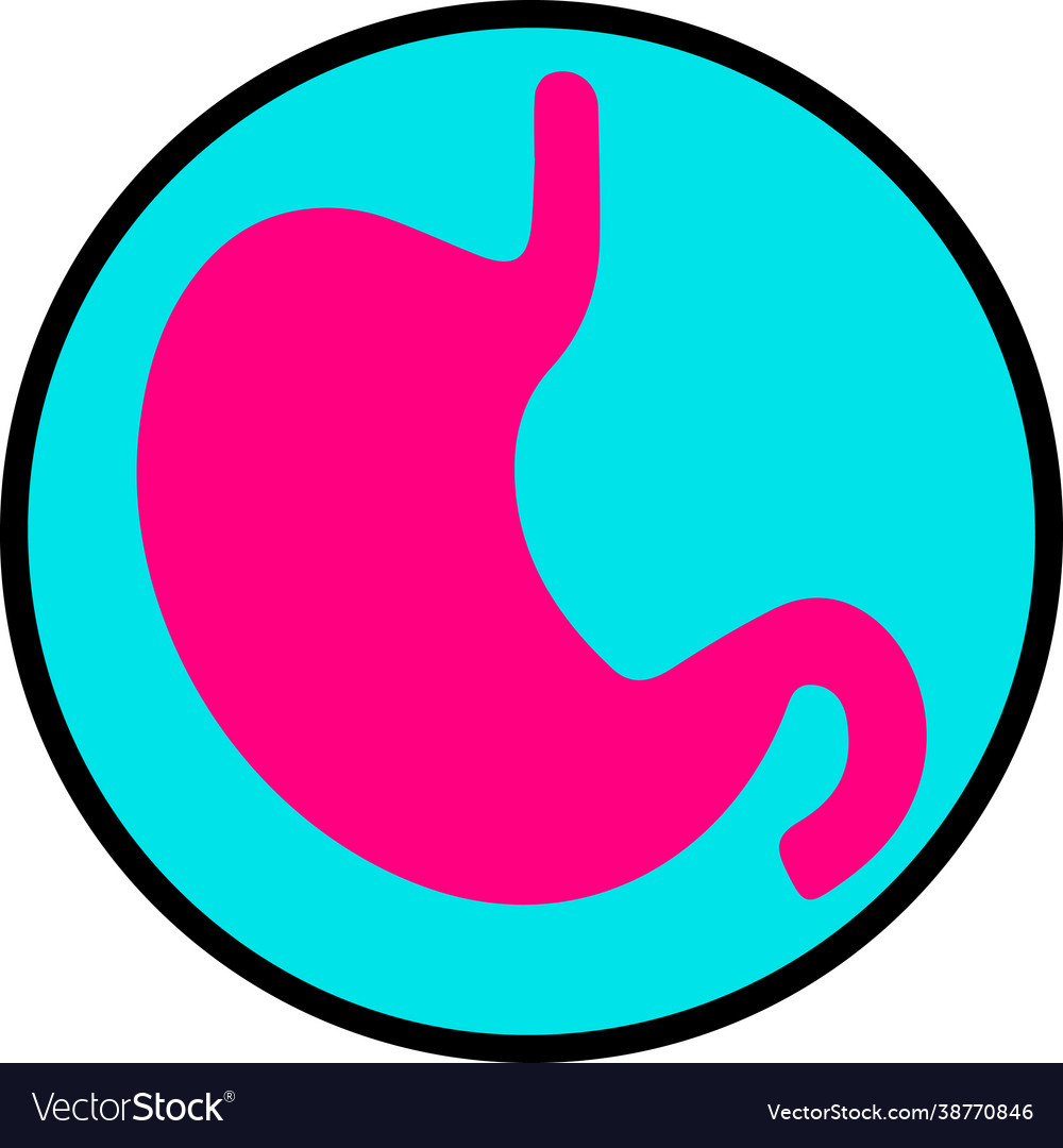 Stomach Royalty Free Vector Image - VectorStock