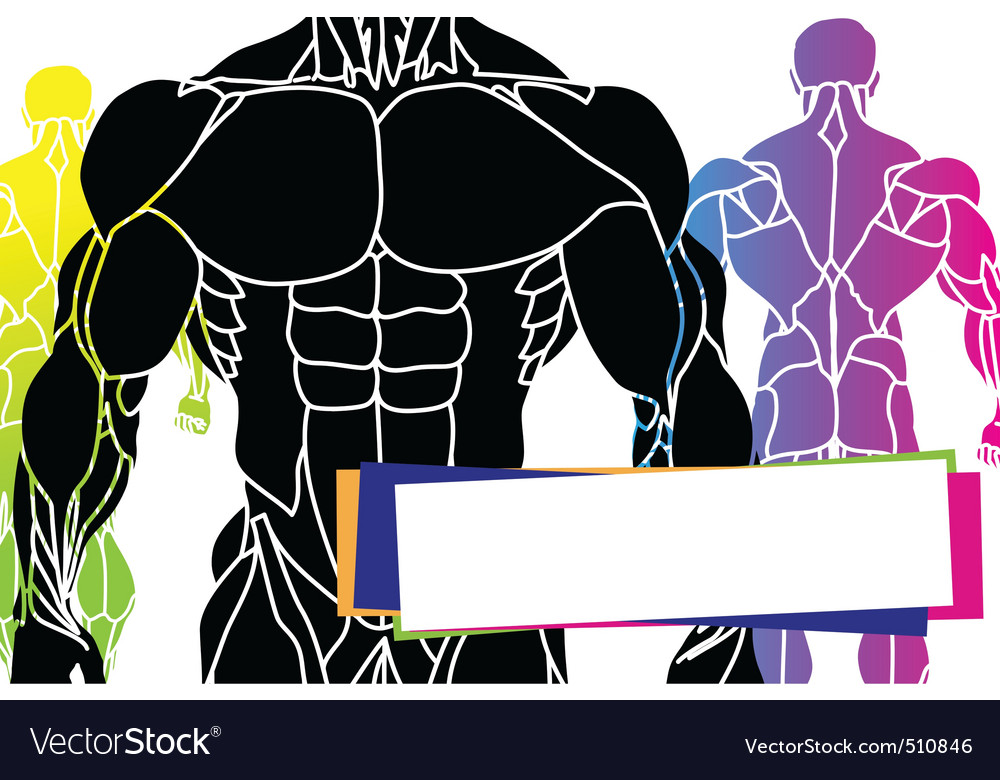 Strong man Royalty Free Vector Image - VectorStock