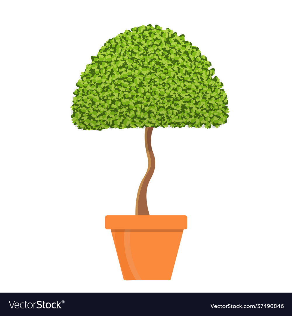 Tree in pot Royalty Free Vector Image - VectorStock