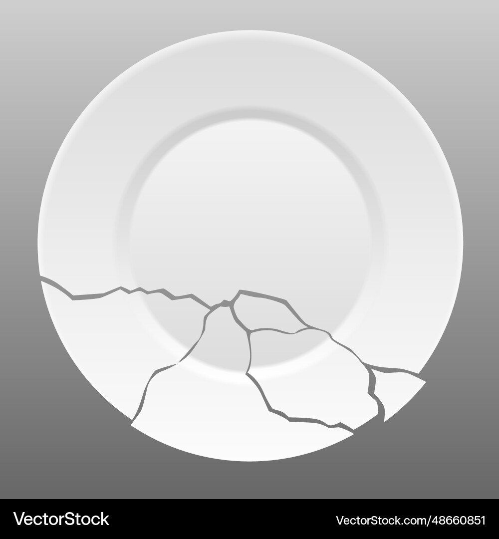 Broken white plate shattered food cracked Vector Image