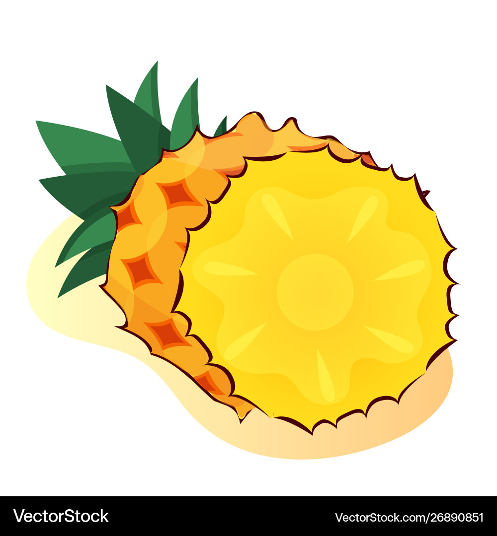 Pineapple slice fresh Royalty Free Vector Image