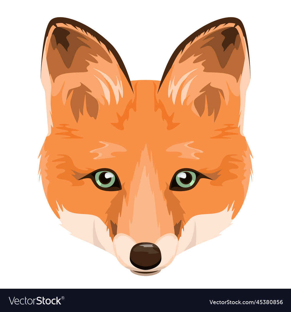 Red fox head Royalty Free Vector Image - VectorStock