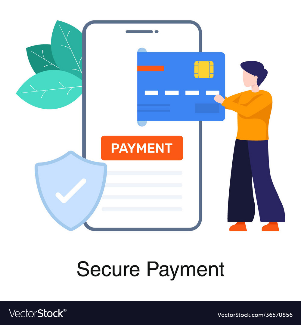 Secure payment Royalty Free Vector Image - VectorStock