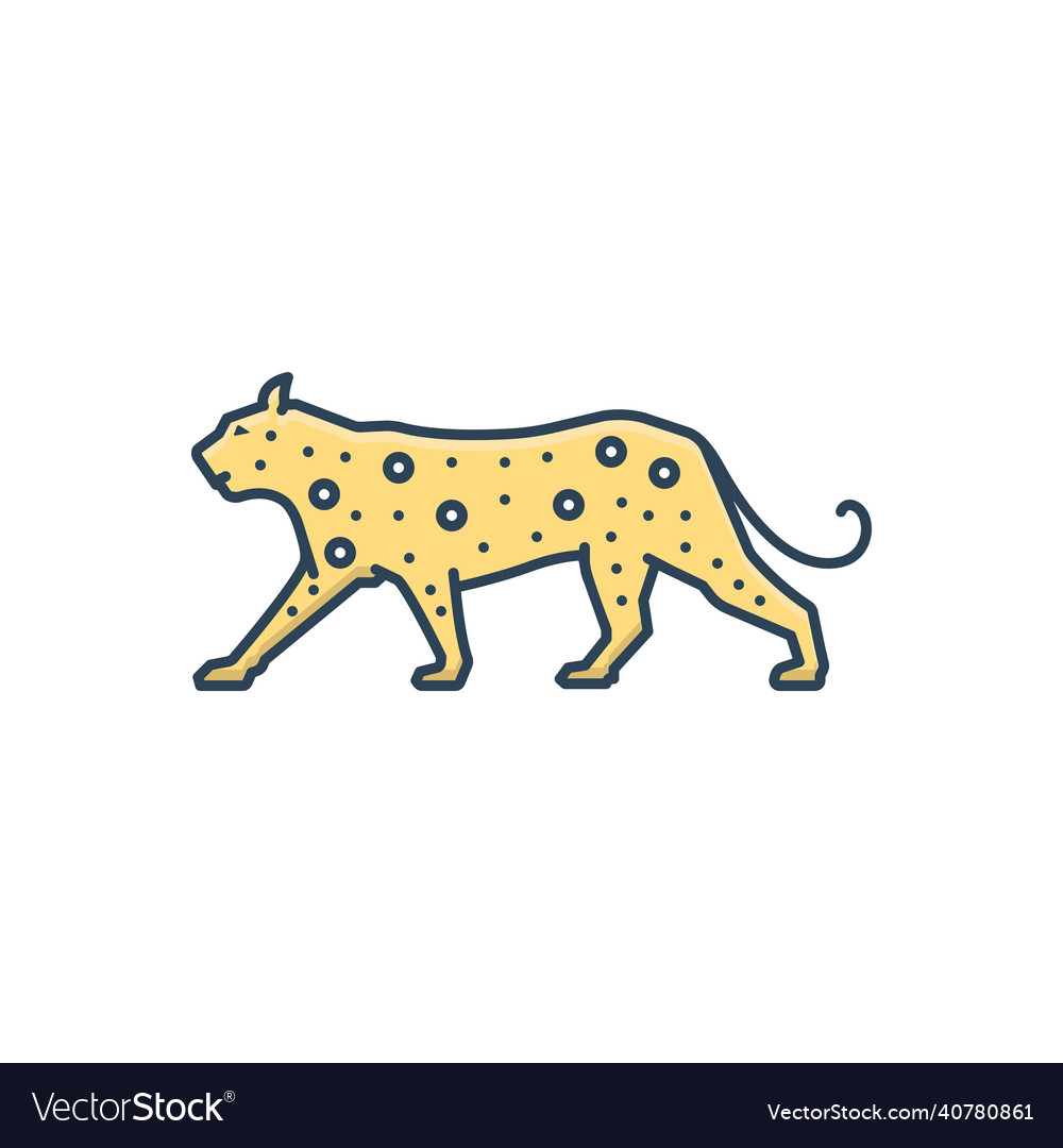 Leopard Royalty Free Vector Image - VectorStock
