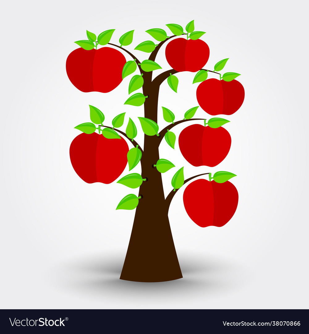 Apple tree Royalty Free Vector Image - VectorStock
