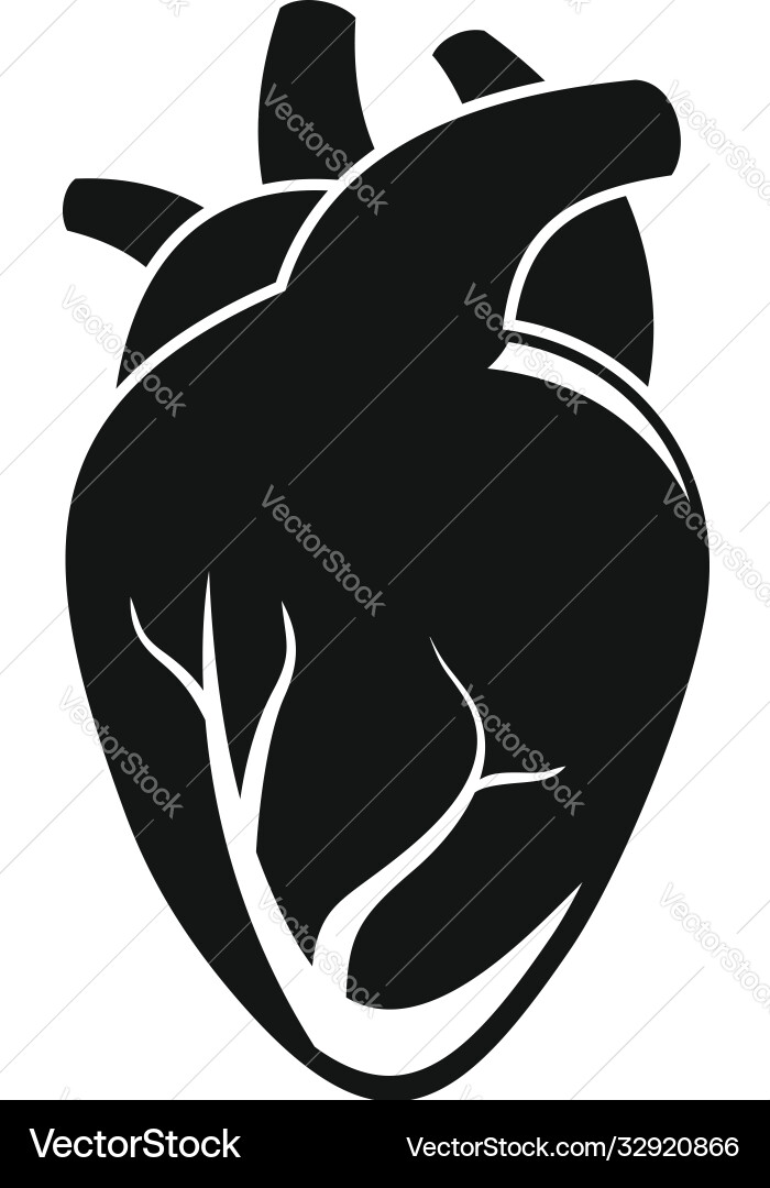 Muscle human heart icon simple style Royalty Free Vector