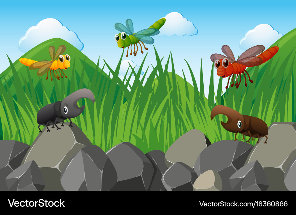 Scene with insects in the garden Royalty Free Vector Image