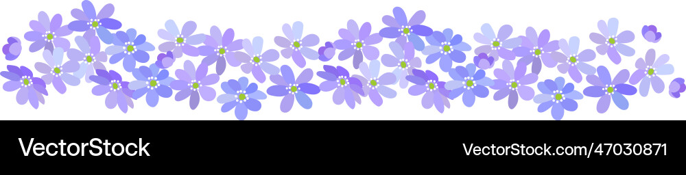 Border of blue spring flowers hepatica Royalty Free Vector