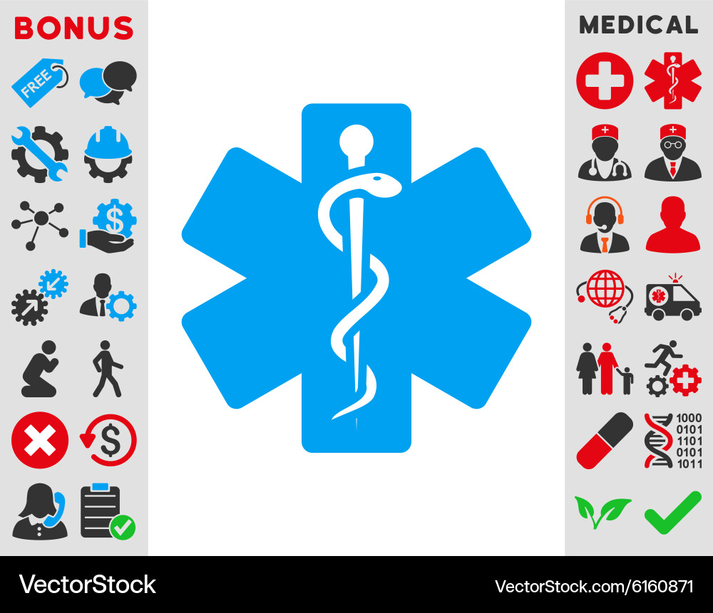 Life star icon Royalty Free Vector Image - VectorStock