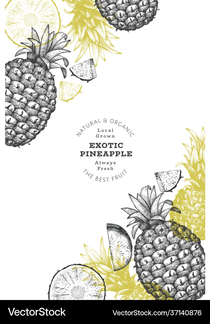 Hand drawn sketch style pineapple banner organic Vector Image